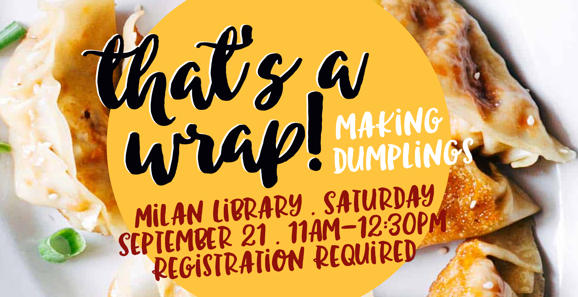 Milan-Berlin Library District