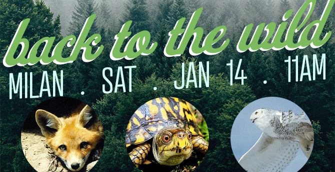 Milan-Berlin Library District