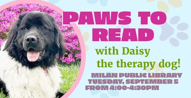 Milan-Berlin Library District