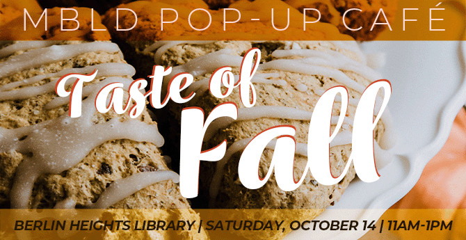 Milan-Berlin Library District